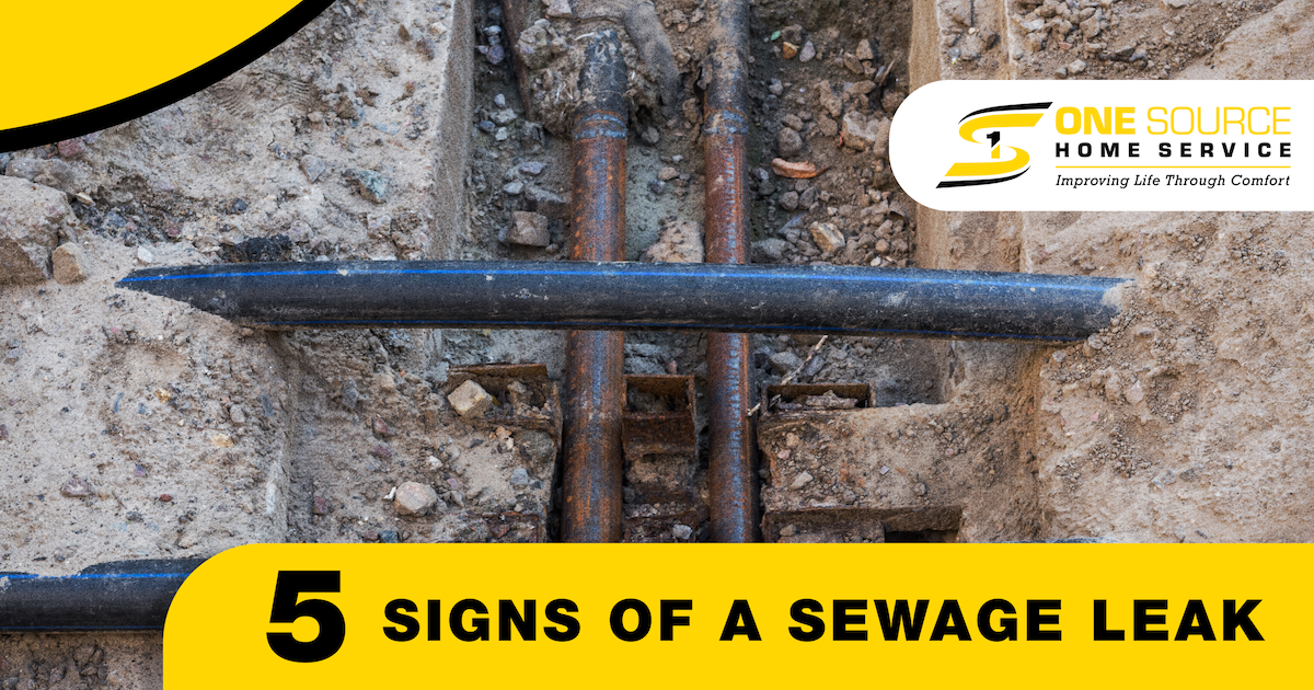5 Signs of a Sewage Leak - One Source Home Service
